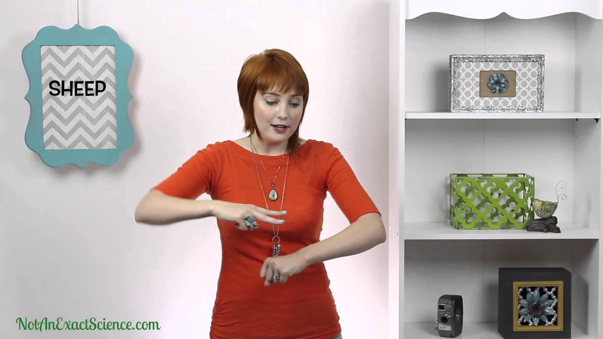 Sheep in Baby Sign Language, ASL